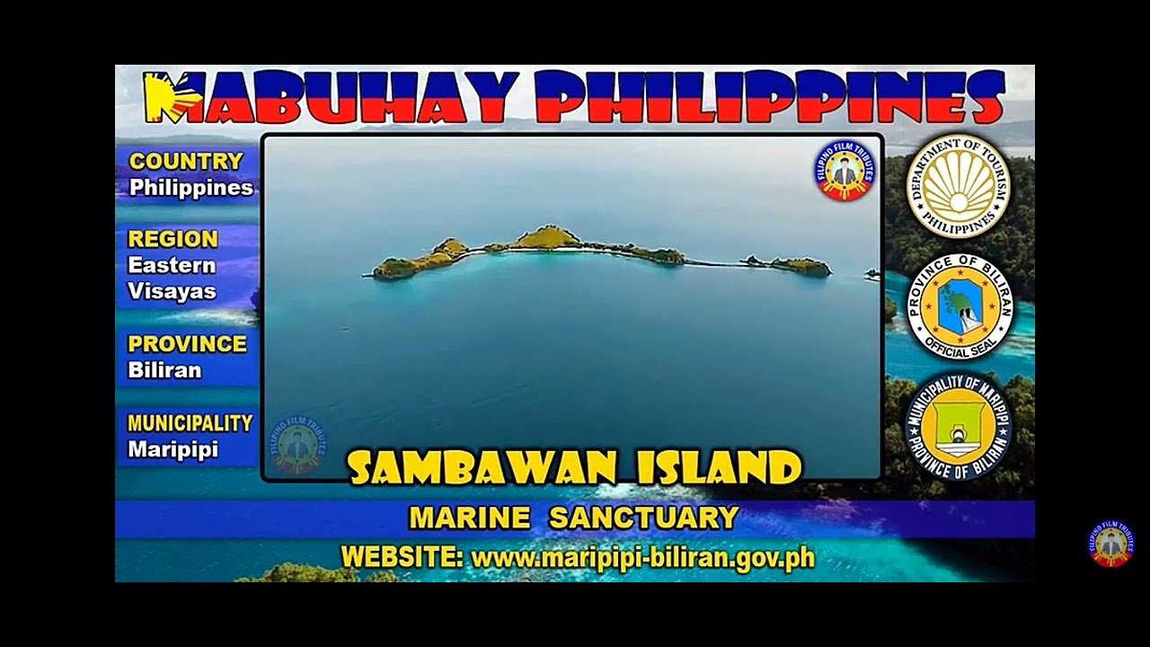 Seiko Films Inc. (1990) Logo - YouTube