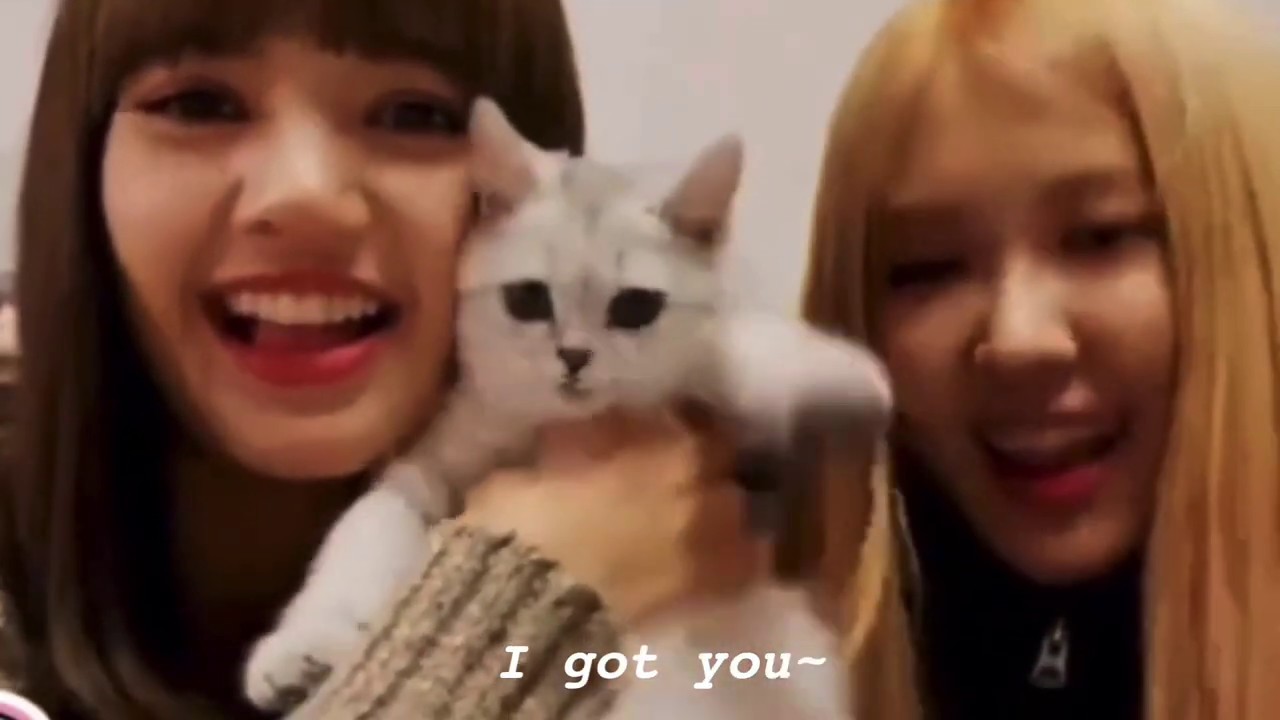 BLACKPINK LISA AND ROSE PLAYING WITH THEIR PETS - YouTube