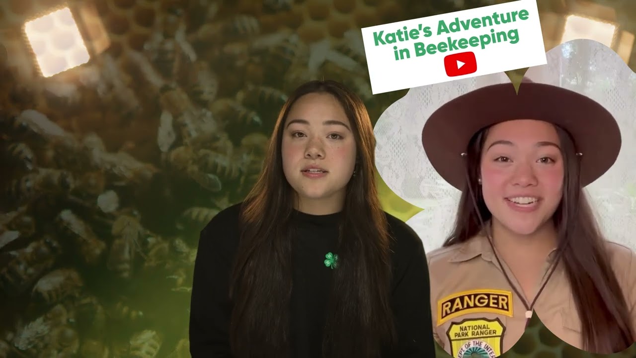 Winners and Finalists - National 4-H Council