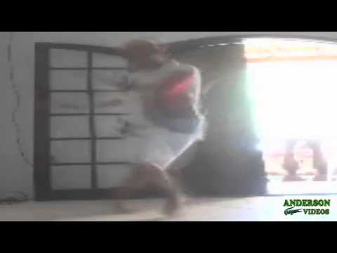 PASSINHO DA ALEGRIA - SÓ MANHA JAPINHA ENVOLVENCIA BRABA (PALINHA)
