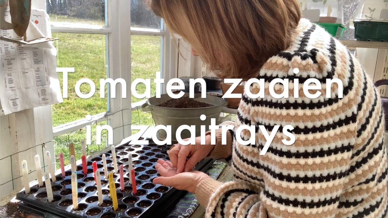 Ini's Moestuin #132 - SPECIAL - Tomaten zaaien in zaai trays. Handig en ...