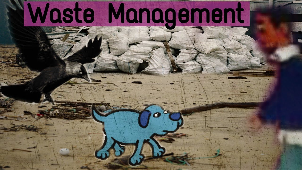 Award wining animated short film - Waste management | Sounds `n' short ...