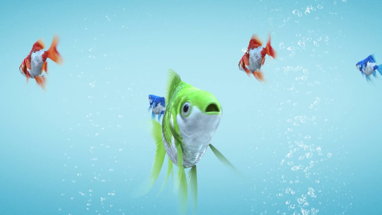 Microsoft Times Square Cube Goldfish - YouTube