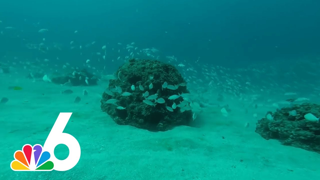 Some families are choosing underwater memorials over funerals. This is ...