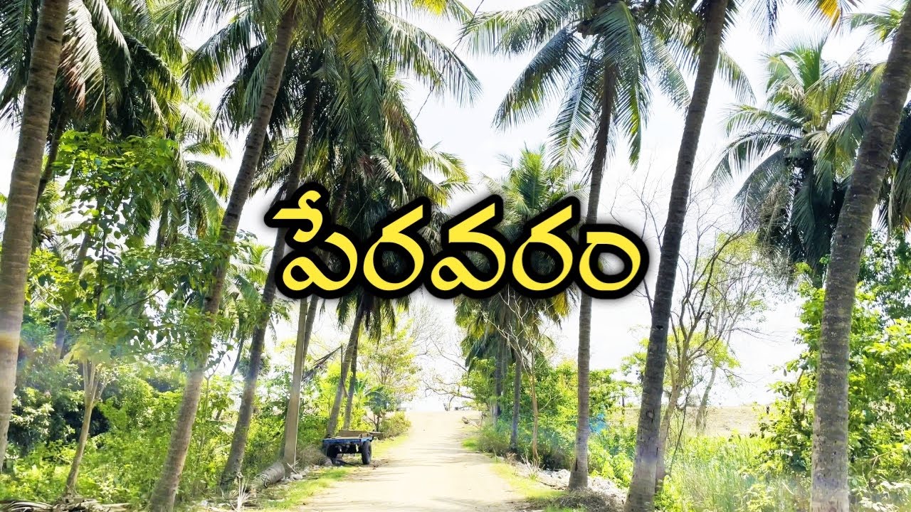 పేరవరం//Peravaram village - YouTube