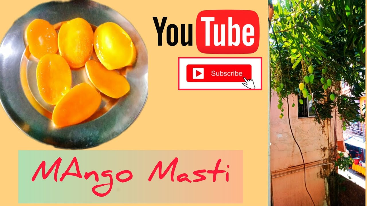 🤪🤪khatta Meetha🥭🥭Mango Masti😃😃 - YouTube