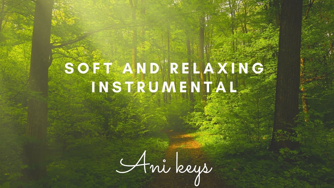 Soft and Relaxing Piano | Deep Sleep Music | Relaxing sleep music - YouTube
