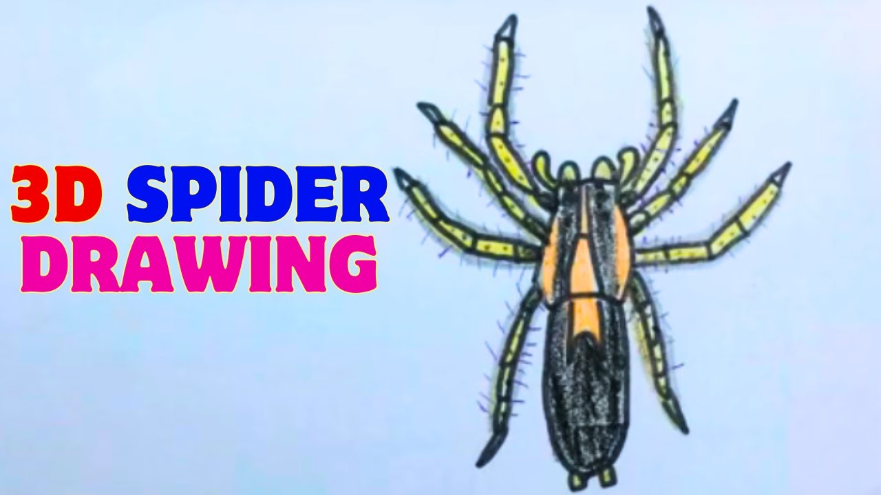 STUNNING 3D SPIDER DRAWING THAT LOOKS ALMOST REAL! INCREDIBLY REALISTIC ...