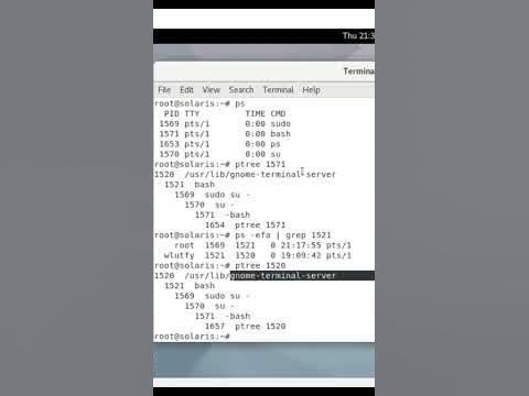 UNIX Oracle Sun Solaris Running ‘ptree’ to identify the parent and child relationship of the ...