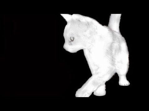 SUGA [COVER IA] - YouTube
