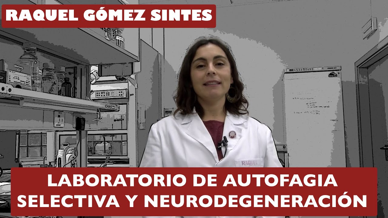 Conoce el CIB Margarita Salas-Raquel Gómez Sintes, grupo de autofagia ...