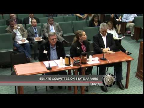 Tamara Colbert Article V Support before Texas Senate Committee - YouTube