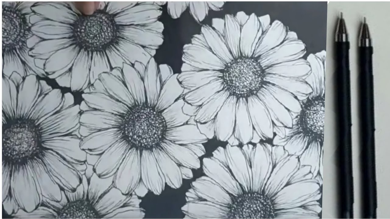 How To Draw Daisies With black Pen || || Pen art ||Flower Drawing ...