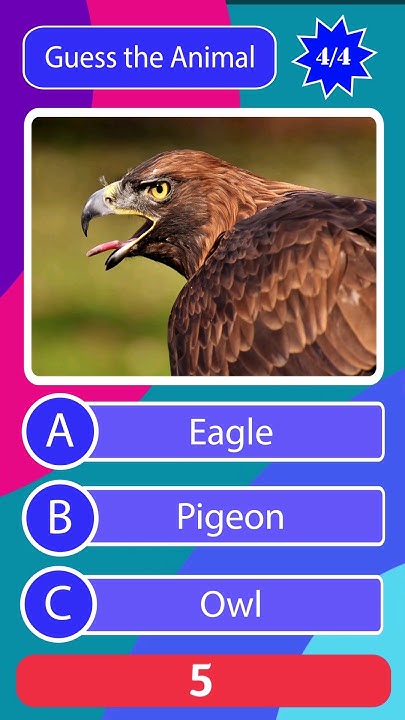Guess the animal 😭 || Part 02 || Animal Photo Quiz | Animal Puzzle ...