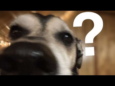 Me being zesty w my pookie bear 😽 - YouTube