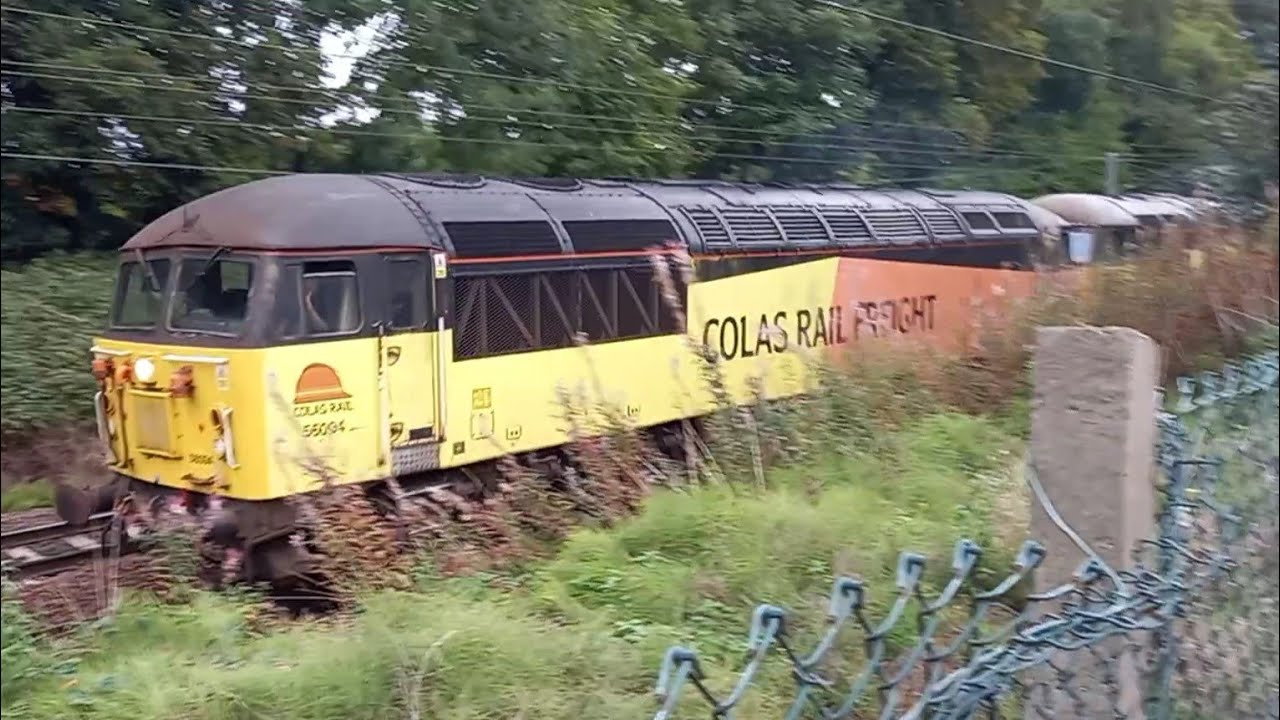 Christmas Special Part 1, action from my garden, including the Network ...