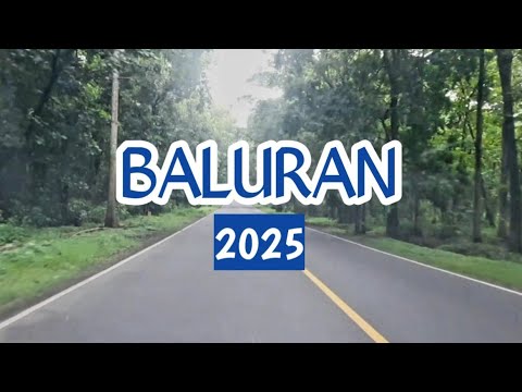 Kondisi Jalan Alas Baluran di Pagi Hari - YouTube