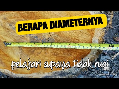 Cara menentukan diameter kayu jati