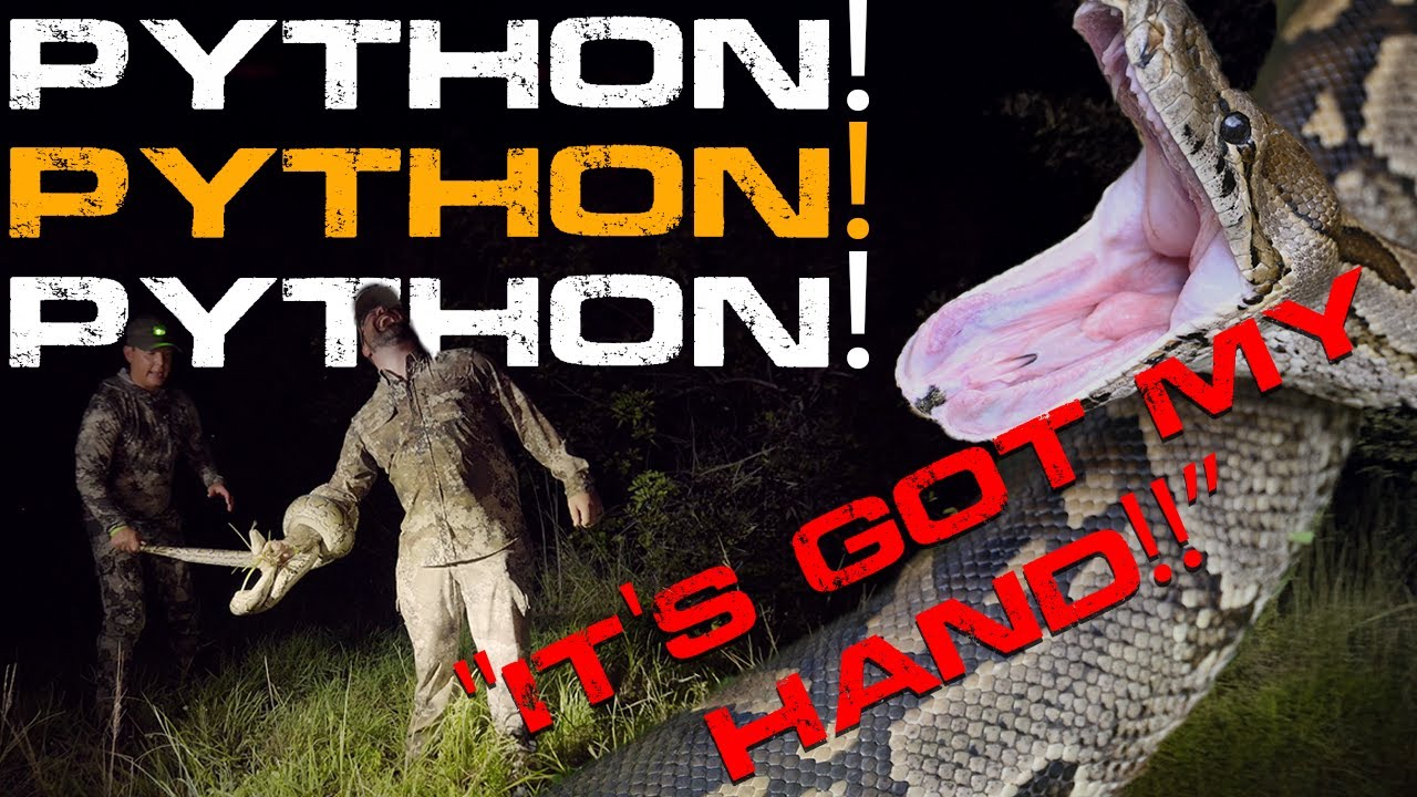 Python Sprays Nasty Musk In Kyle's Face! Funny Outtakes Burmese Python ...