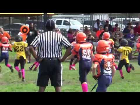 MANDARIN TIGERS VS FORESTVIEW D3-2015 - YouTube