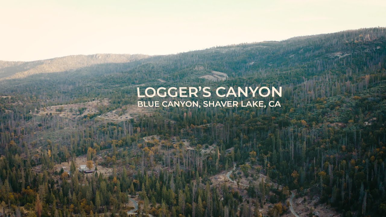 Loggers Canyon | CINEMATIC DRONE FILM | DJI Mavic 2 Pro Aerial Footage ...