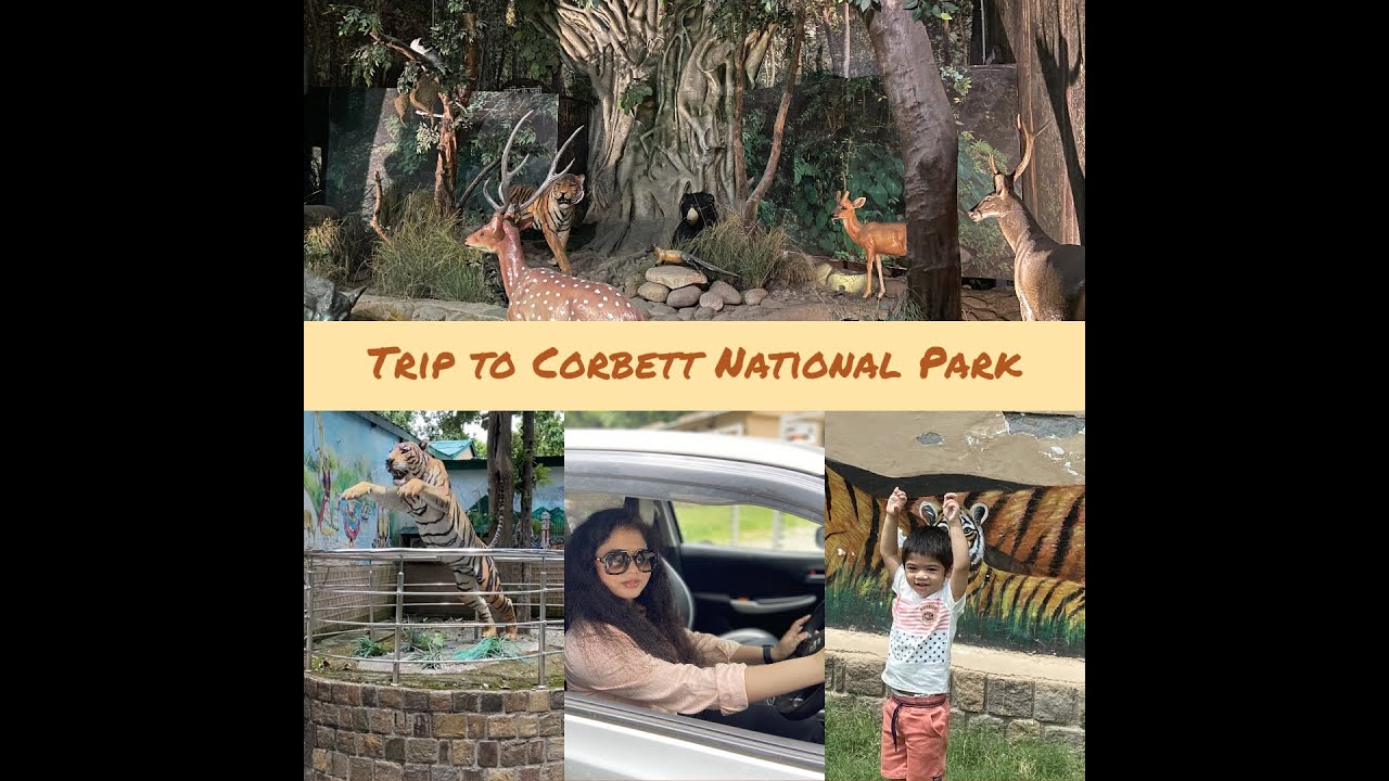 Jim Corbett National Park | Jim Corbett Travel Guide | Exploring Jim ...