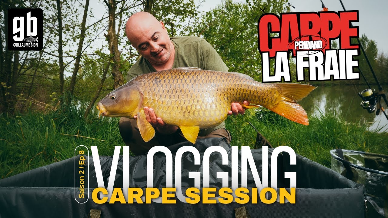 Vlogging Carpe Session - S2 - EP8 - Carpe Pendant la Fraie.. - YouTube