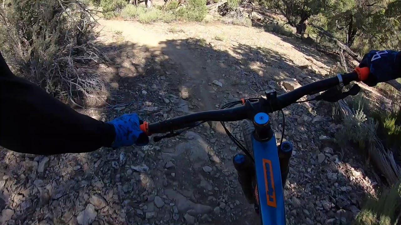 Twisted Pines Trail - YouTube