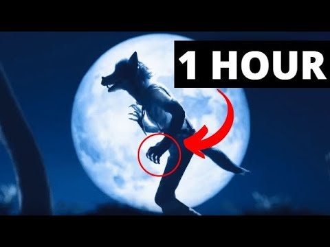 BEASTARS Opening 🐺 1 HOUR Version [HD] - YouTube Music