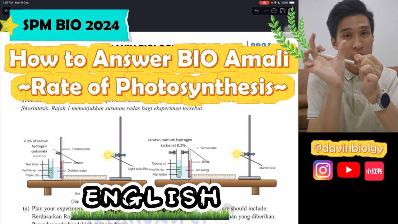 BIO AMALI 2024 - Rate of Photosynthesis 【ENGLISH】 - YouTube