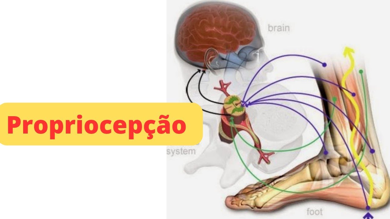 como estimular seus sensores de propriocepção - YouTube