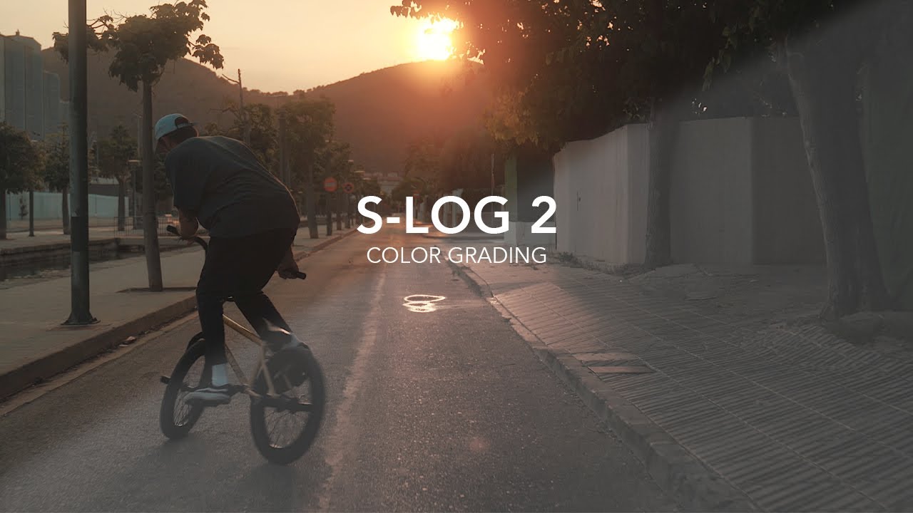 COLOR GRADING S-LOG 2 | 3 CON LUT FOREST II - YouTube