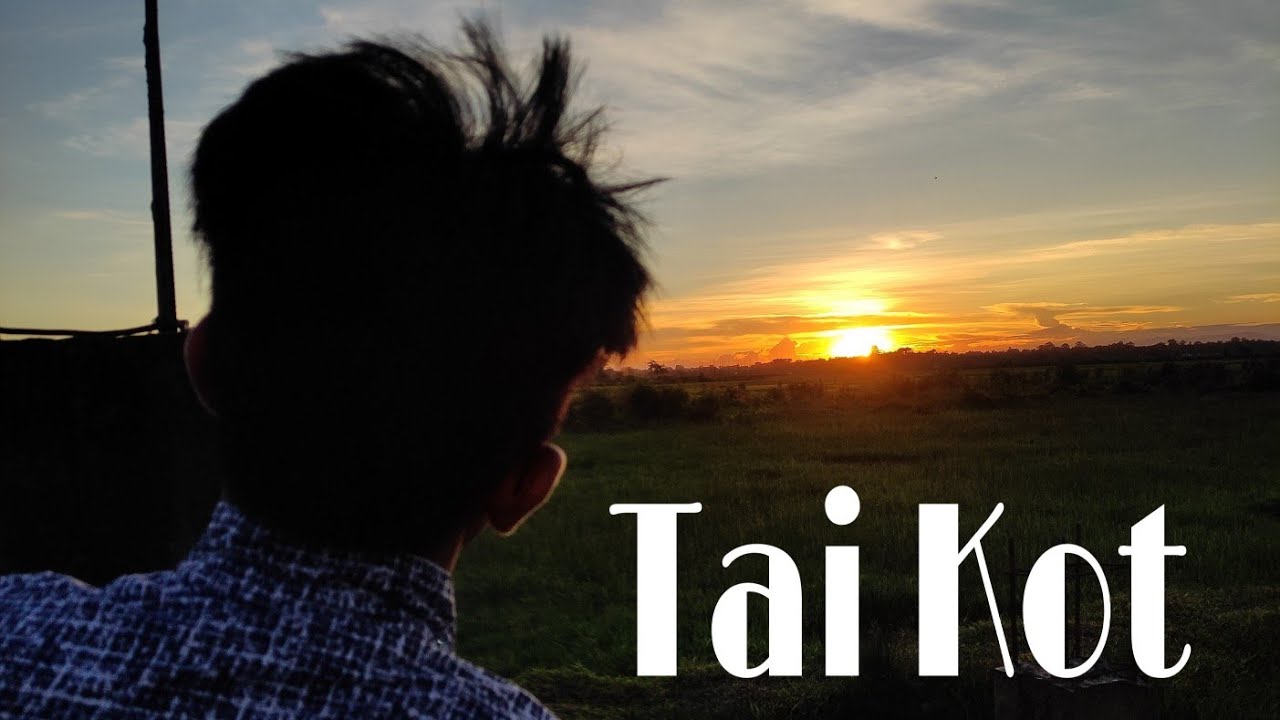 Tai kot // video cover (lyrical video) - YouTube