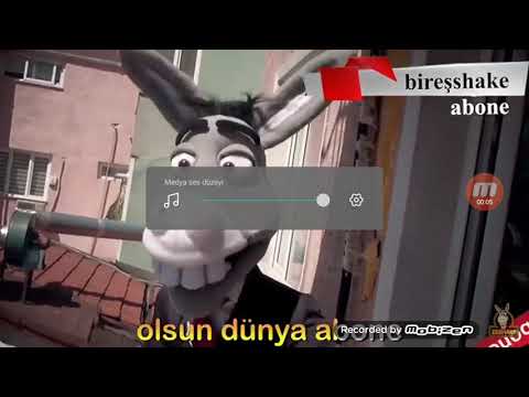 aboneabone esek sarkısi