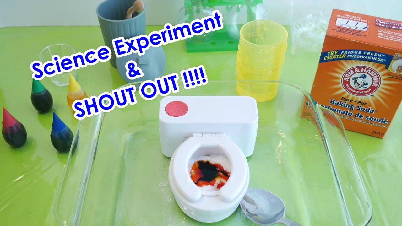 EduScience Lab Disgusting Science: Overflowing Toilet Emergency ...