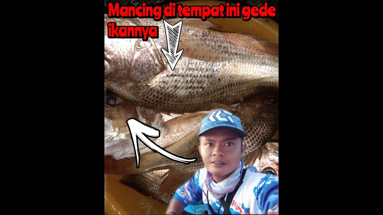 MANTAP!! Sensasi mancing ikan merah tompel di pulau nunukan - YouTube