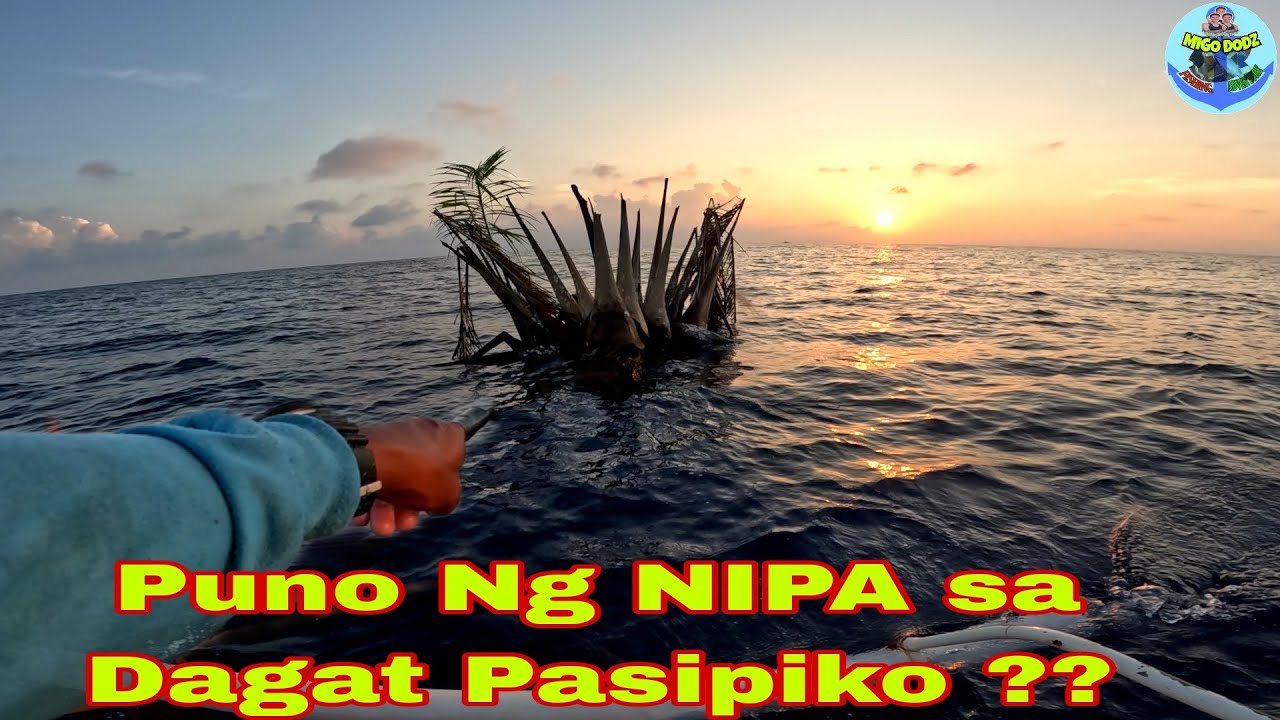 Part204 Pacific adventure | Puno Ng NIPA sa Dagat Pasipiko?? - YouTube