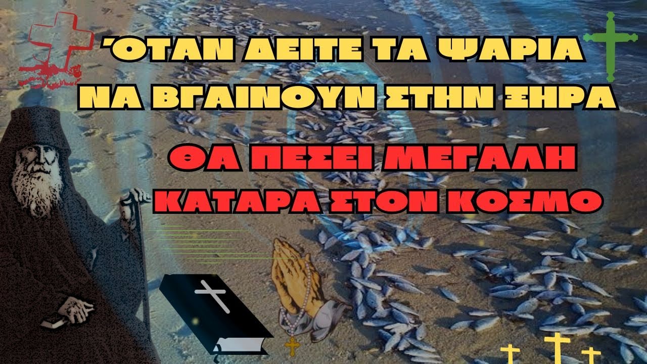ΟΤΑΝ ΔΕΙΤΕ ΤΑ ΨΑΡΙΑ Να βγαίνουν στην ξηρά - Μεγάλη Κατάρα θα πέσει στον ...