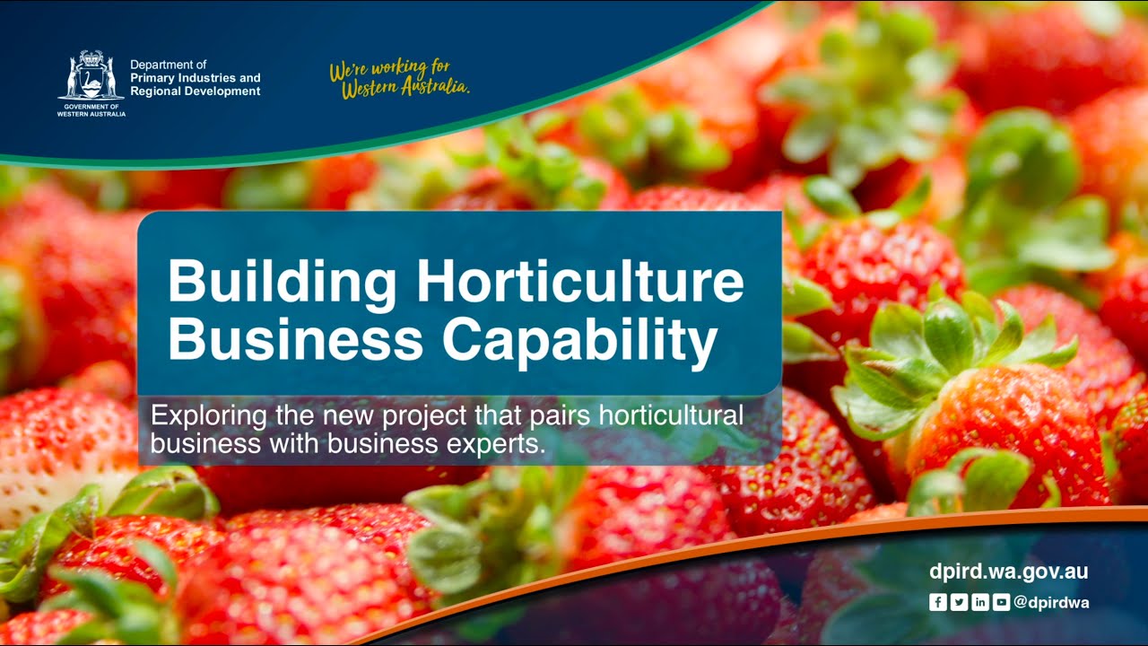 Building Horticulture Business Capability |Department of Primary ...