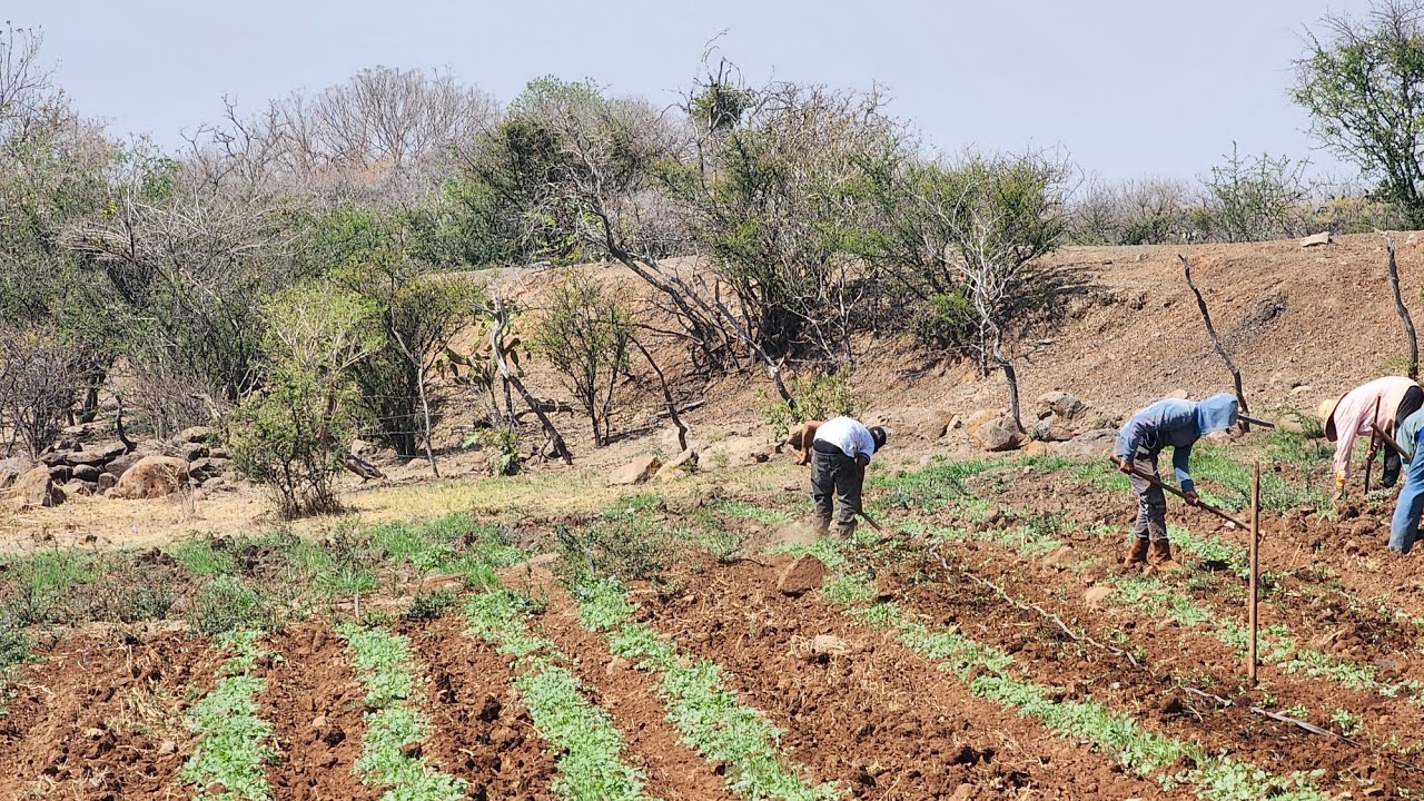 "No todo es chamba hay que divertirse"🤠🌱 ️ - YouTube