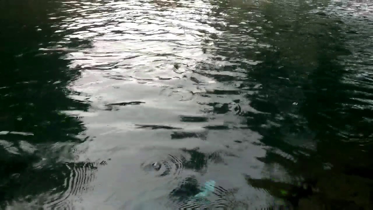 JuanderfulPinas Adventures: Lorenzo Spring, Balabagan Lanao del Sur ...