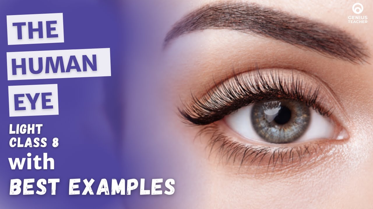 The Amazing Camera- Human Eye | Light | CBSE Class 8 | Episode 4 ...