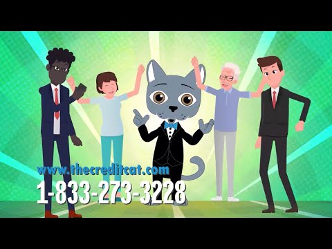 The Credit Cat: The Purr-fect Solution for Credit Restoration! - YouTube