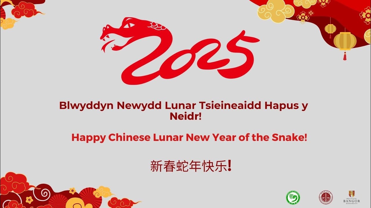 Create Your Own Chinese Lantern for Chinese New Year 2025! - YouTube
