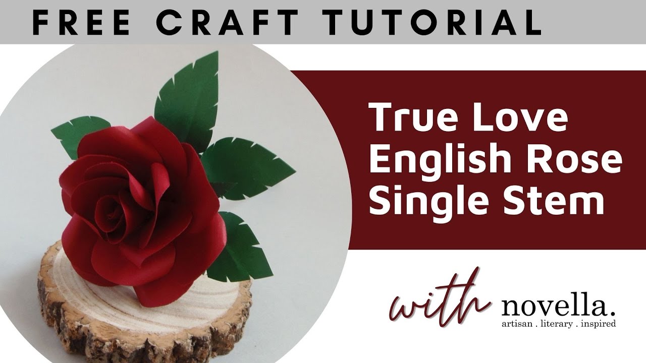 DIY True Love Valentines Day Single Red Rose Romantic | handmade gift ...