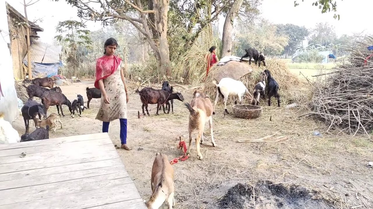 Difficult Life Of Poor Villagers II || Real Life Of In Uttar Pradesh ...