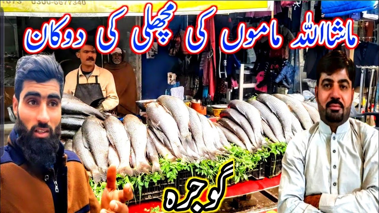 MASHALLAH🥰 Mamo Nay Fish ki Dukan Khol Li 🐟🐠🎏 | Gojra | Mian Muzammal ...