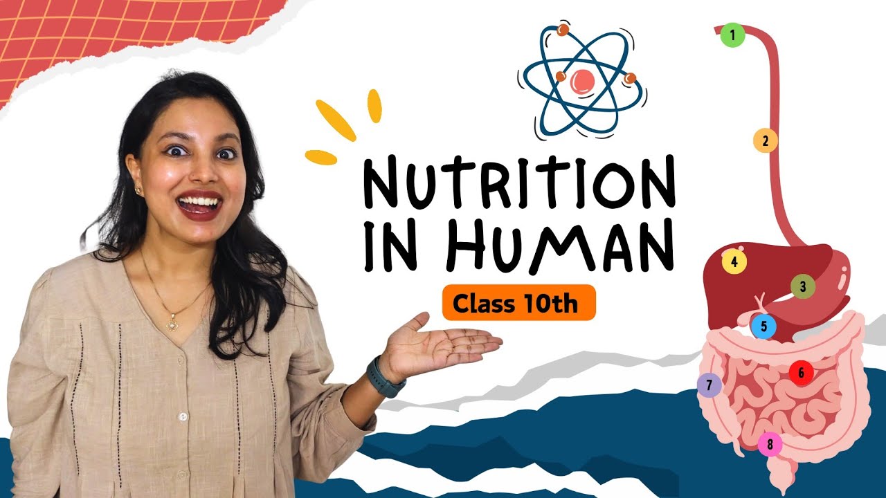 Nutrition in Human | Life Processes Part-2 | Class 10th | CBSE ...