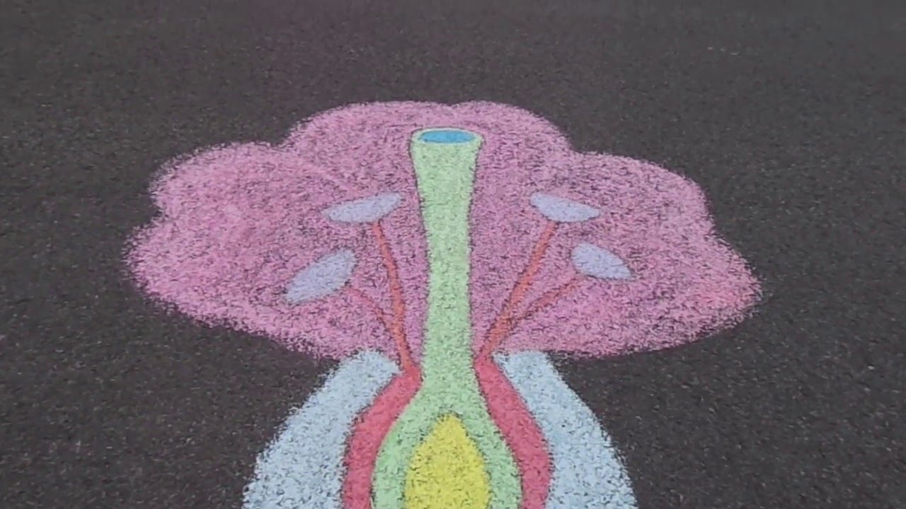 "Botony", Structure of Flowers - YouTube