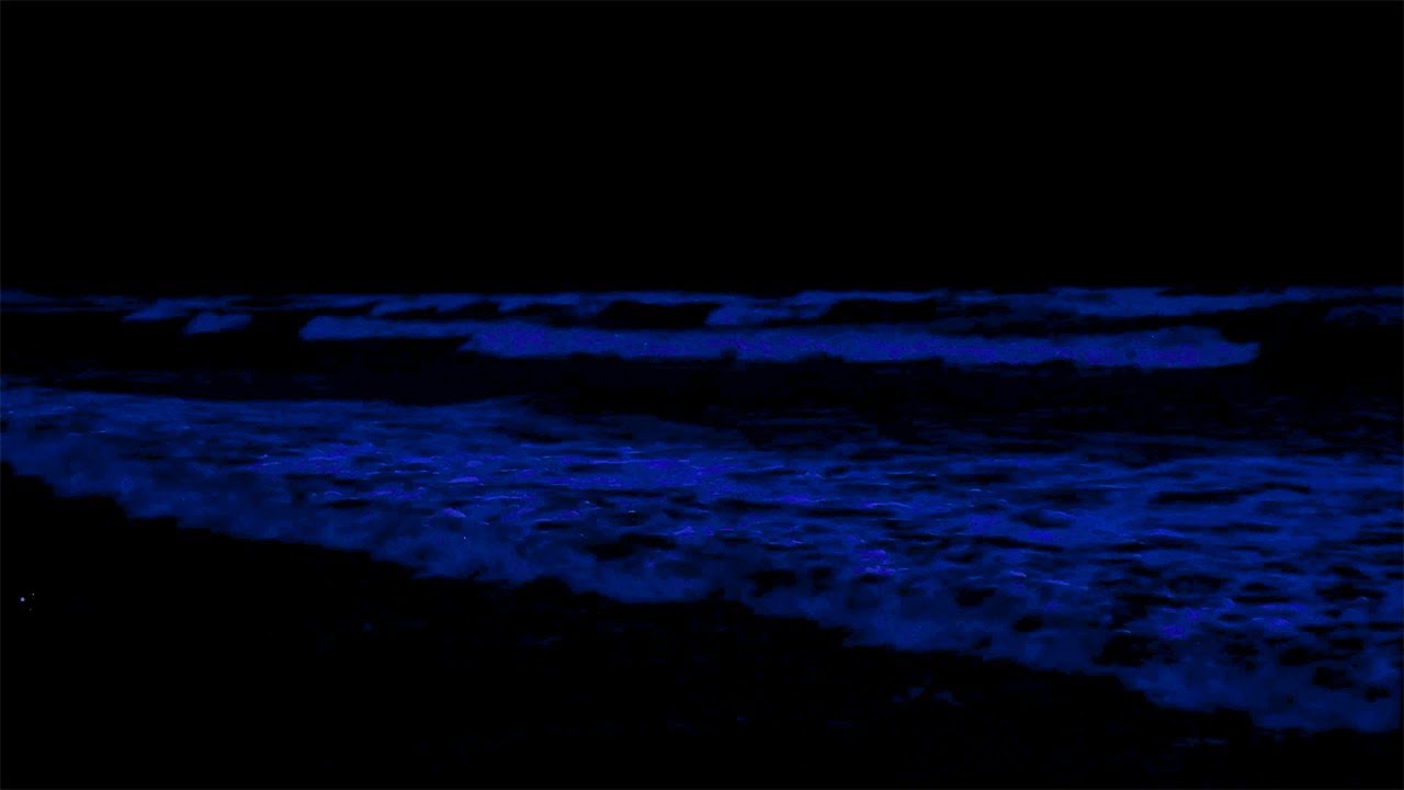 Heals Anxiety and Deep Sleep Instantly With Ocean Wave Sounds on Beach ...